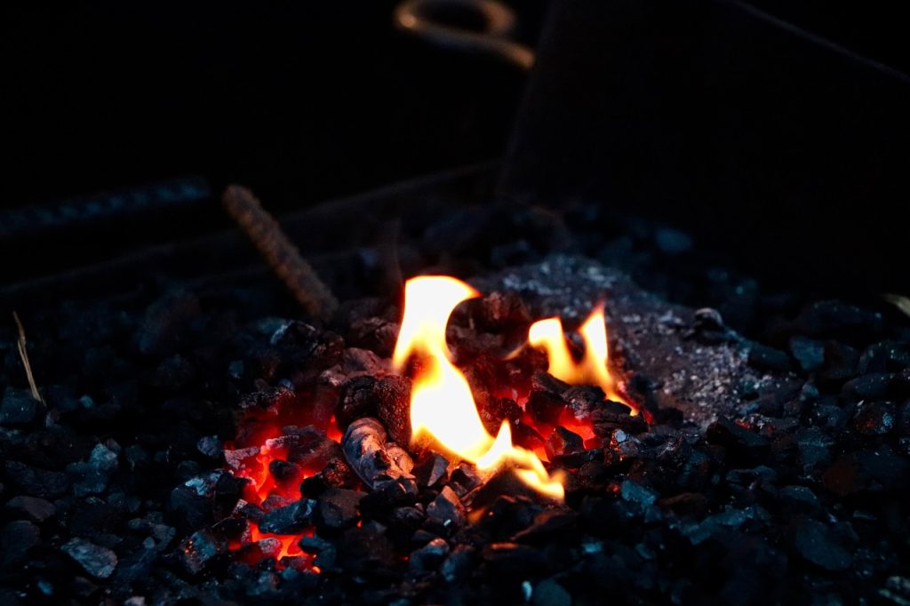 Découvrir le label bas carbone : votre guide pour compenser les émissions