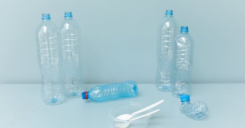 Découvrir le label bas carbone : votre guide pour compenser les émissions